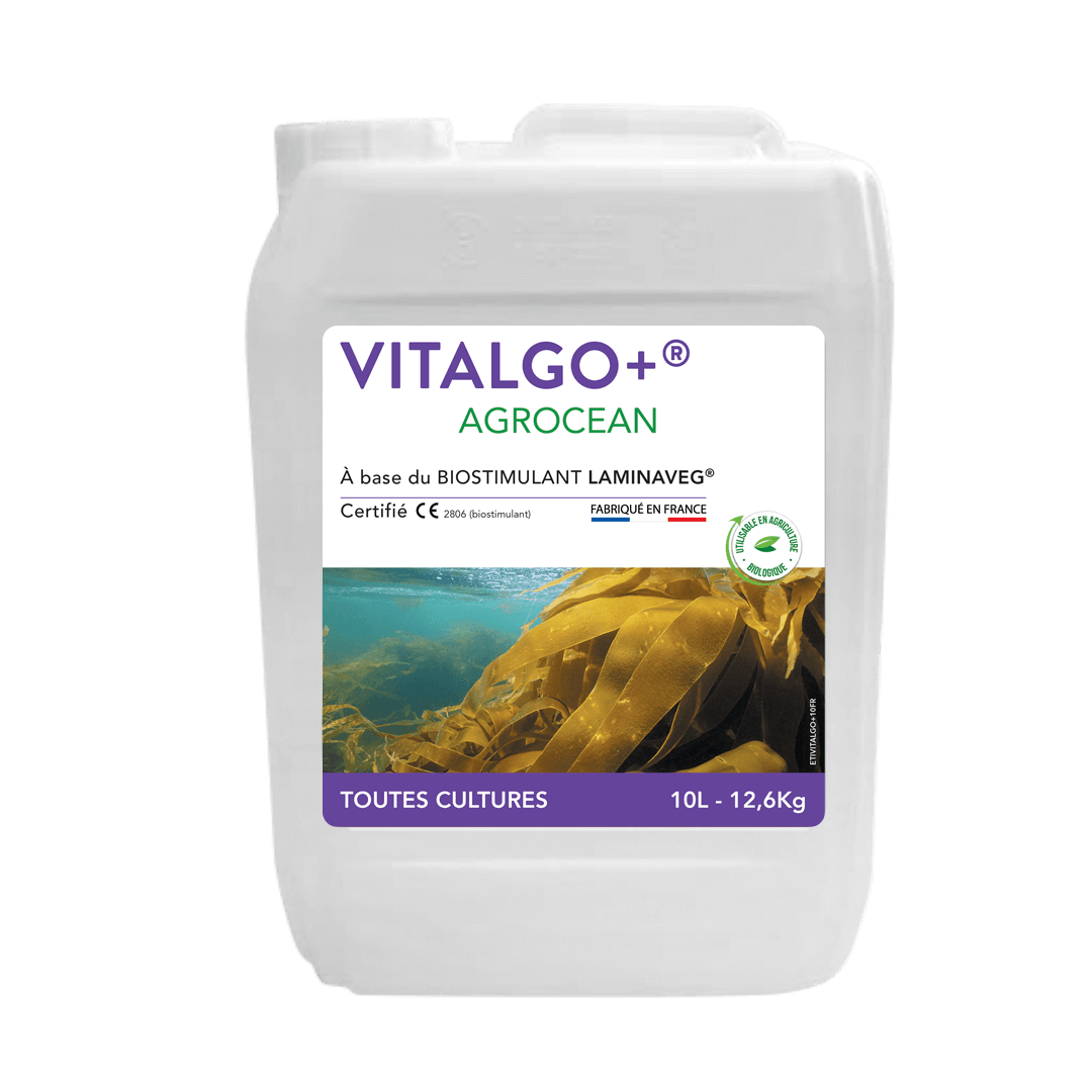 VITALGO+ ANG CROPS | Agrocean
